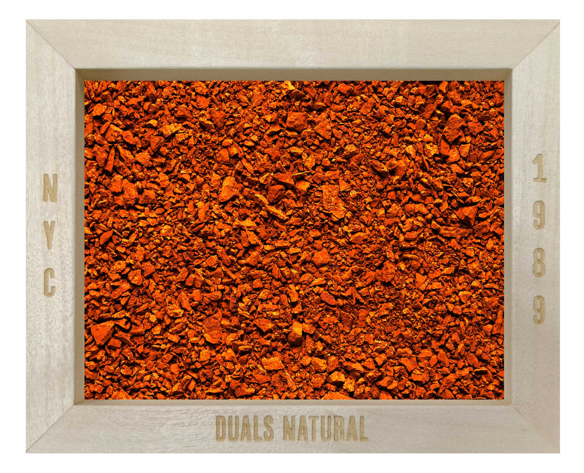 CHAGA MUSHROOM POWDER — Duals Natural